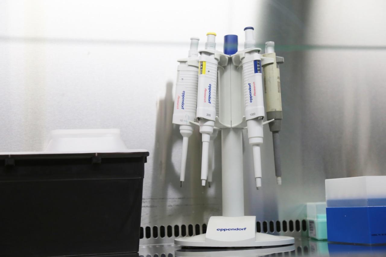 Coronavirus: Tierra del Fuego realiza el análisis de las muestras y se ... Coronavirus: Tierra del Fuego realiza el análisis de las muestras y se ...