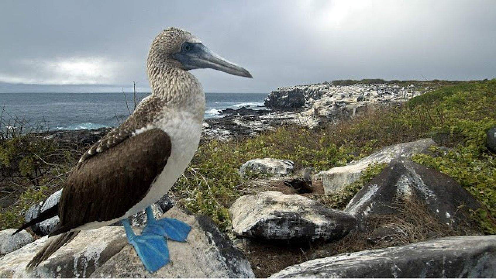 Descubrí Rio Grande virtual, una oportunidad para conocer el turismo de ...